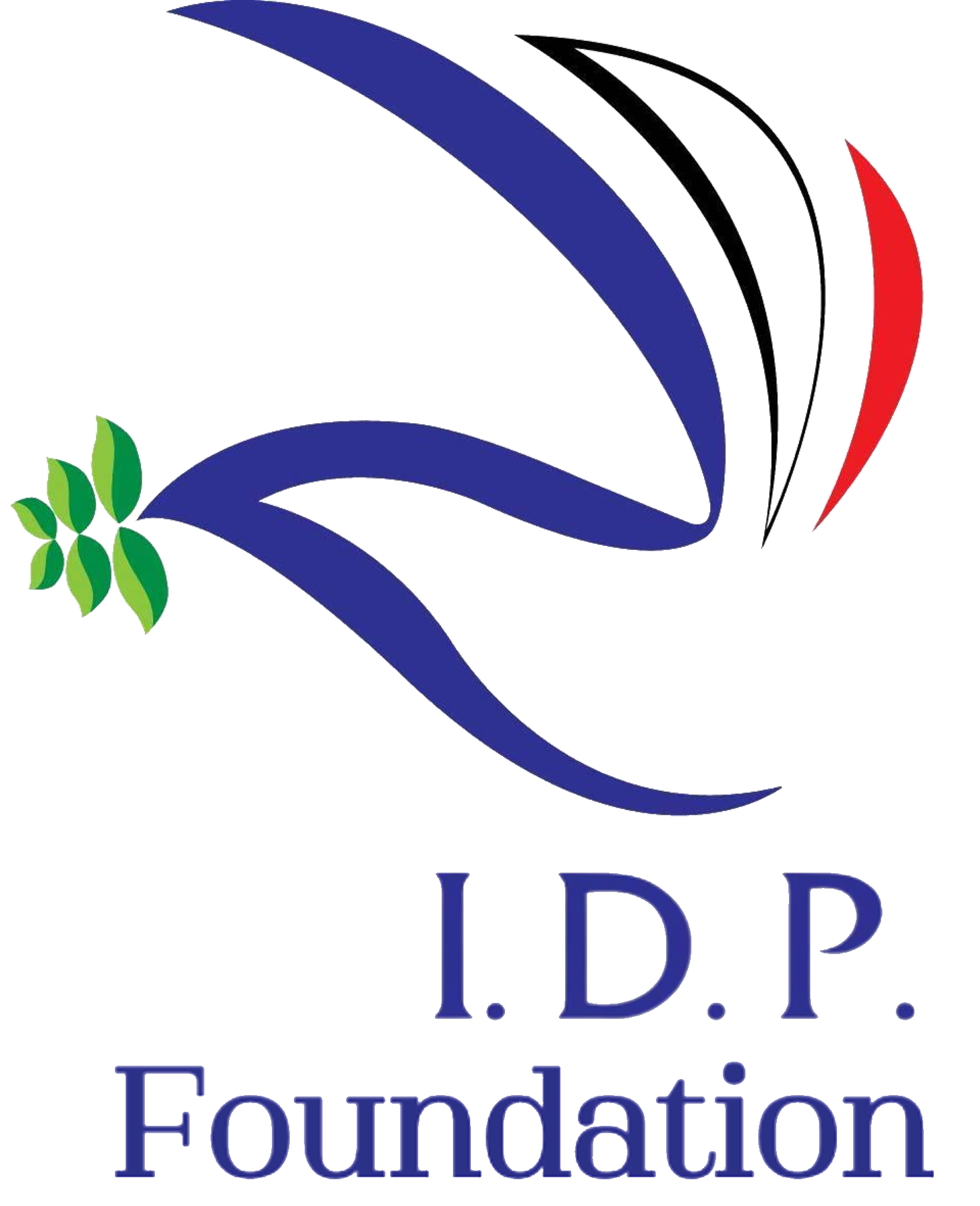 News and Activities - I.D.P. Foundation